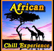 African Chill Experience | Live Radio